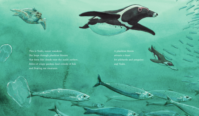 Yoshi and the Ocean: A Sea Turtle’s Incredible Journey Home by Lindsay ...