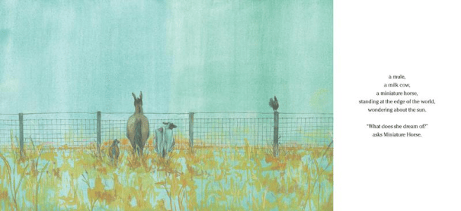Two by Phillip C. Stead: Every Dog in the Neighborhood illustrated by ...